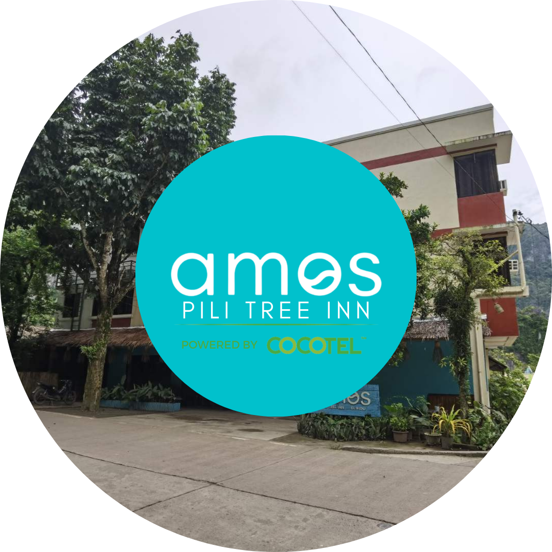 Amos Pili Tree Inn Powered by Cocotel at Balinsasayaw Rd. Cor Amboy St ...